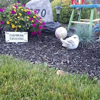 Chipmunk Crossing Funny Garden Sign, Gift for Gardener, Cute Chipmunk ...