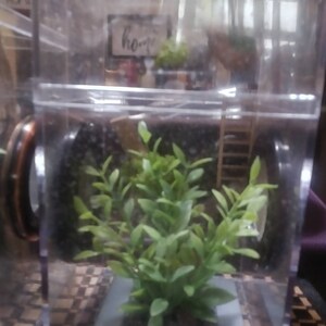 Plastic Moss Pads: Artificial Aquarium Plants Reptile Terrarium Plants ...