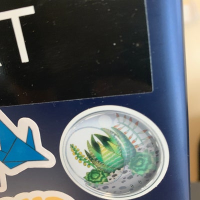 Everything Bagel Sticker - Etsy