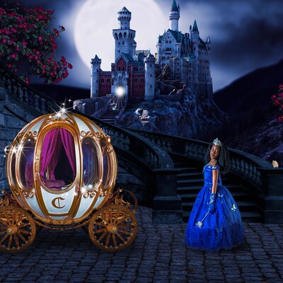 Cinderella Castle Staircase Inspired Digital Backdrop, Cinderella ...