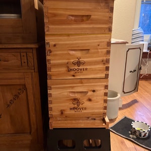 Bee Hive 10 Frame Langstroth 1 Deep Brood & 1 Medium Super Boxes ...