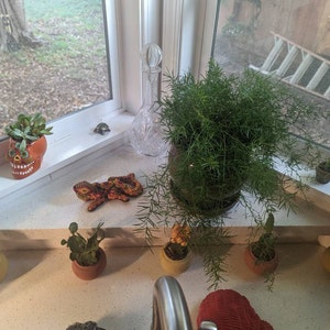 Yellow Terracotta Concrete Planter Box Minimalist Planter Pot Succulent ...