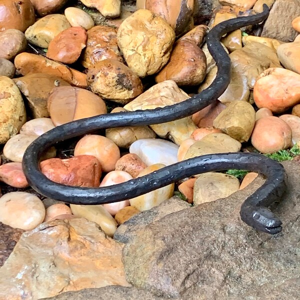 Snake, Hanging Snake,iron Snake,hand Forged Snake,metal Snake,pet Snake ...