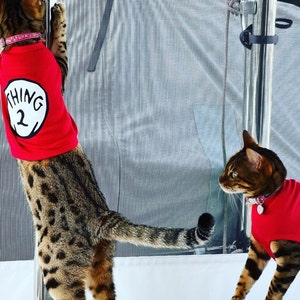 Matching Cat Tank Tops Funny Matching Cat Shirts, Matching Cat Outfit ...