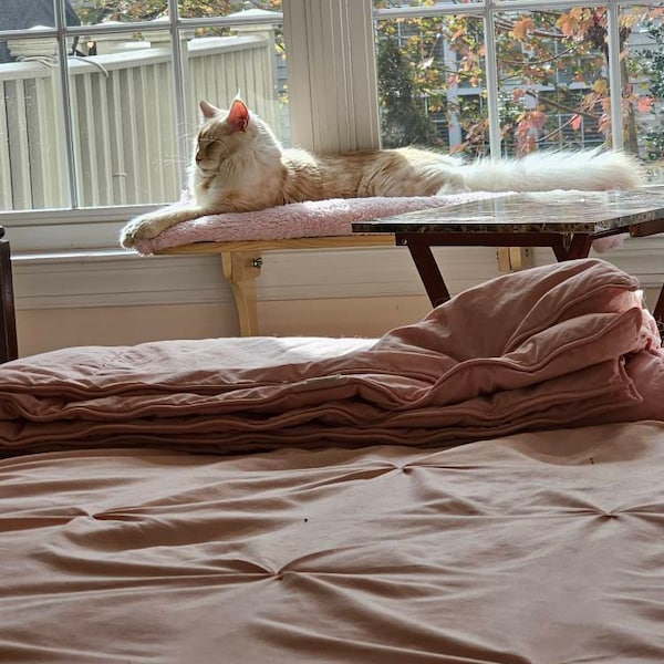 Dog Window Perch Wooden Dog Furniture Windowsill Natural Shelves - Etsy