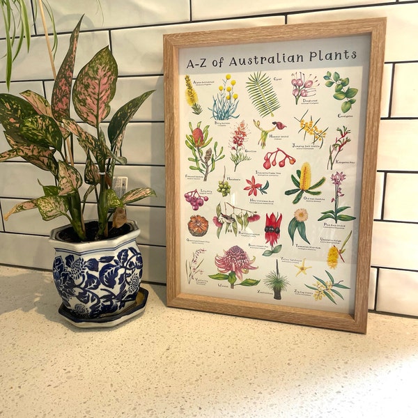 Australian Native Seed Pod Poster DIGITAL DOWNLOAD - Etsy