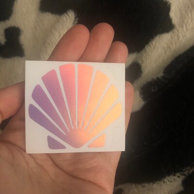 Seashell Decal, Seashells, Iridescent Shell Decal, Iridescent Seashell ...