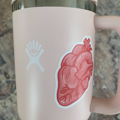 Brain Sticker, Medical Stickers, for Kids, for STEM, for Medicine, for ...