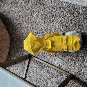 Dog Flight Jacket Red - Etsy