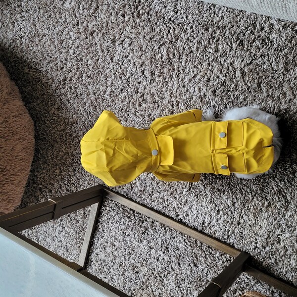 Dog Flight Jacket | Red - Etsy