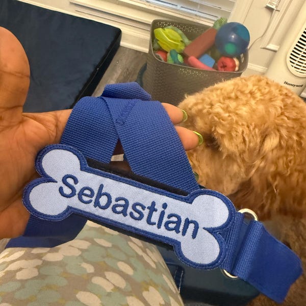 Custom Your Dog Name in a Bone Embroidered Iron On, Sew On, or Hook ...