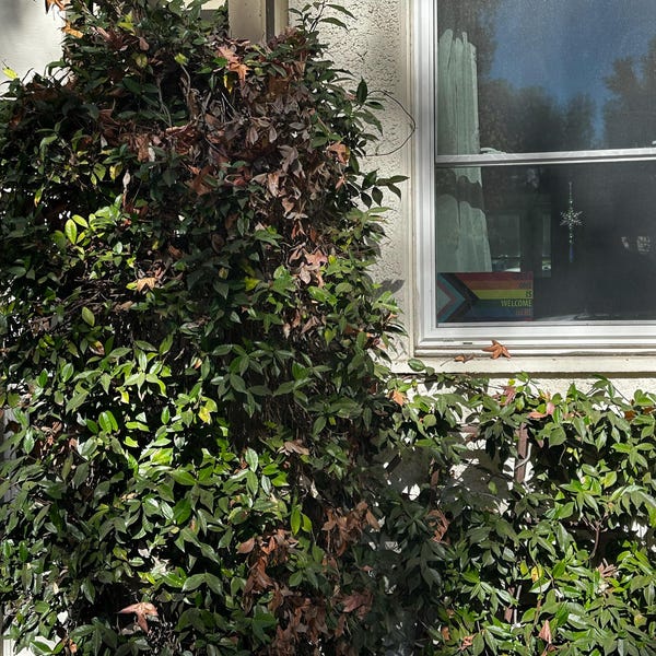 Medieval Stickman 4 Viking Battle Ax With Horned Helmet Etched 8 Oz ...