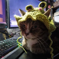 Crochet Lemon Hat for Cats - Etsy UK