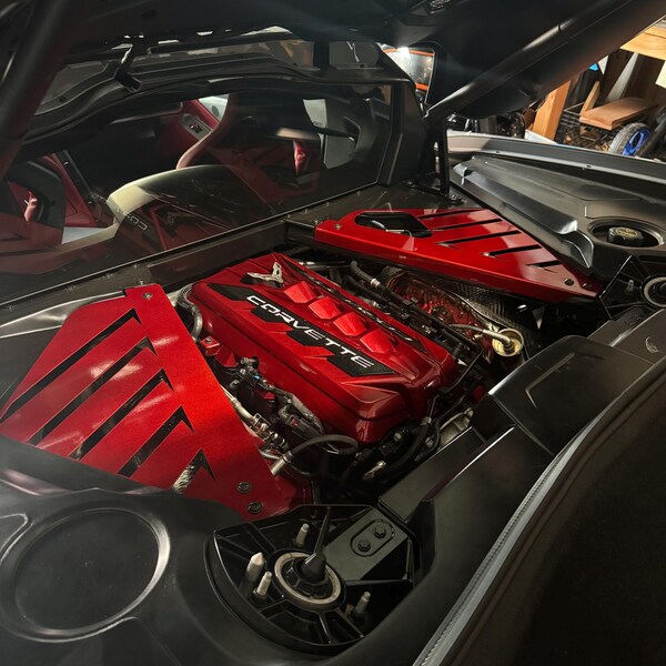 2016-2022 GT500 / GT350 RADIATOR COVER PLATE White and Blue Metallic - Etsy