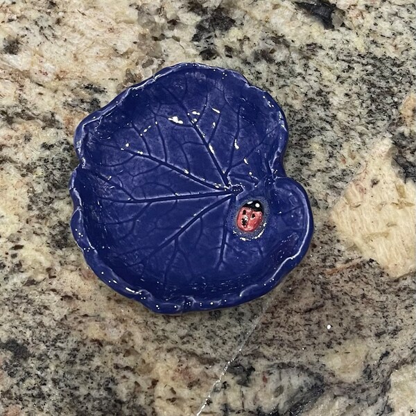 Tiny Sweet Heart Shaped Forget-me-not Leaf With Ladybug Real Leaf Used ...