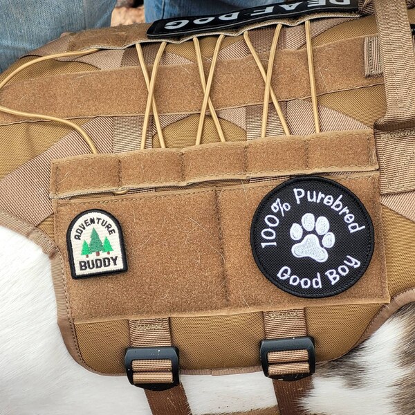 Adventure Buddy Patch for Dogs | Iron-on | Velcro - Etsy