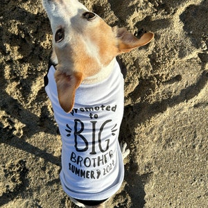 Sploot Definition Tattoo Inspired Wall Art Dog Lovers Print Bold Black ...