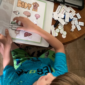 Printable Upper and Lowercase Letter Sorting Game - Etsy