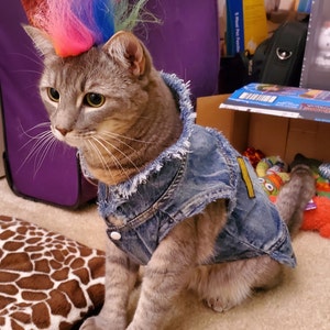 Cat Mohawk - Etsy