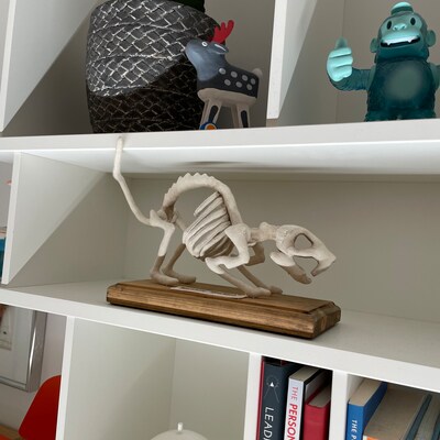 Genetically Engine-eared Vacanti Mouse, Vegan Faux Taxidermy ...