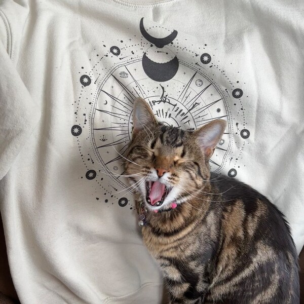 ELDEN RING Turtle Sweatshirt, Sekiro, Ranni Elden Ring, Elden Ring Map ...