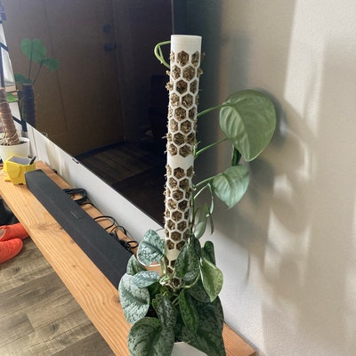 Modular Moss Pole Moss Tower Moss Tower That Will Grow With Your Plant ...