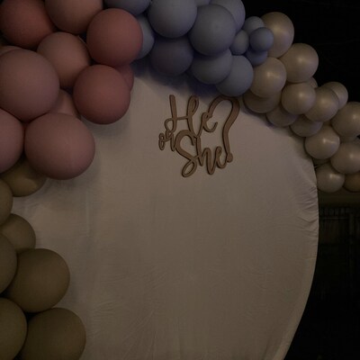 He or She Backdrop Wooden Sign, Gender Reveal Decor, Baby Shower Wood ...