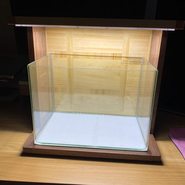 SEOUL: Designer Platform for Aquarium / Terrarium - Etsy