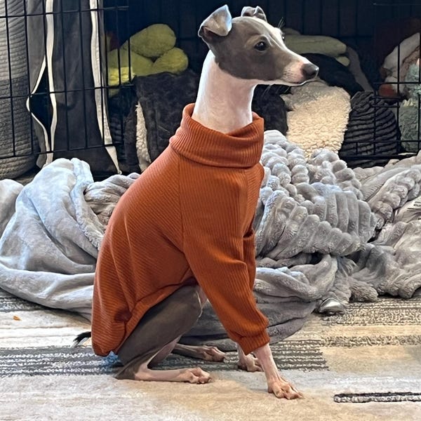 Italian Greyhound Rib Knit Pjs - Etsy