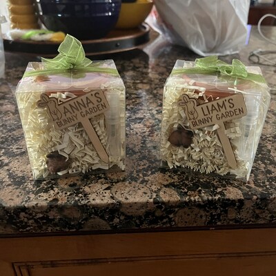 Set of Miniature Sharks Mini Blue Shark Terrarium Supplies Teeny Tiny ...