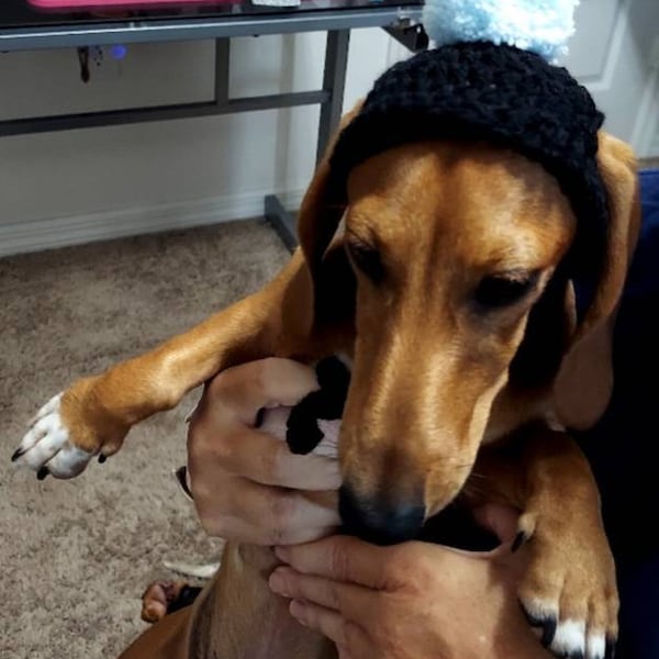 Dog Bobble Hat With Ear Holes. Puppy Hat. Dog Beanie Hat.dachshund ...