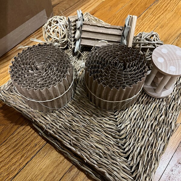 Rattle Roller Toy | Bunny Rabbit, Guinea Pig, Chinchilla, Small Pet ...