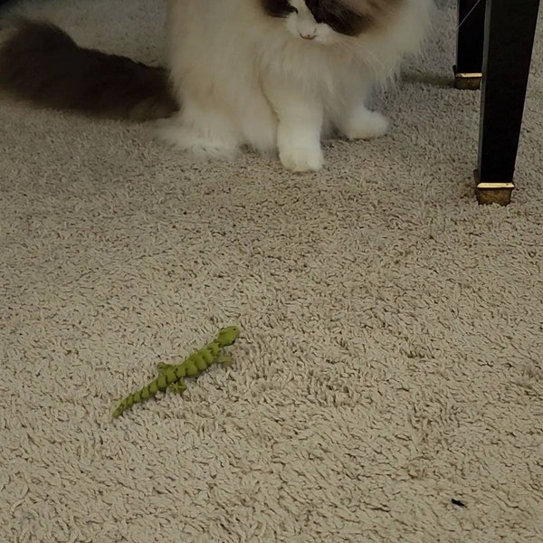 Kitty Lizard Articulated Cat Toy - Etsy