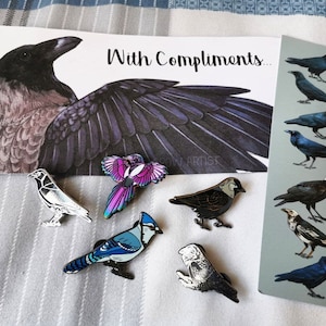 British Corvids Poster Painting / Wall Art / Nature Print / | Etsy