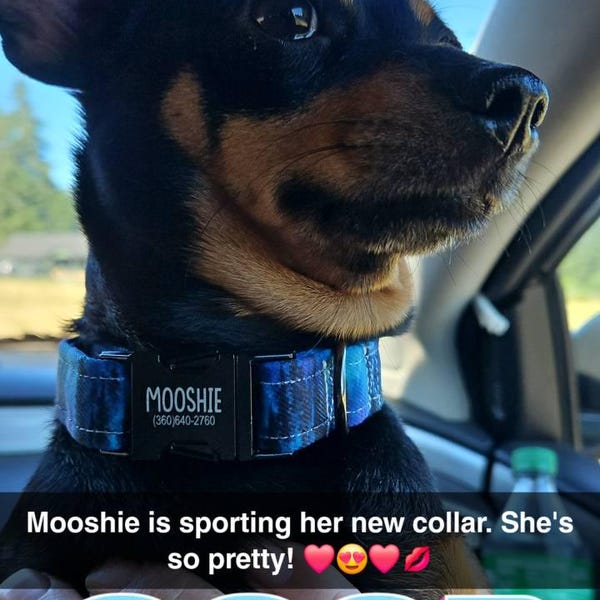 Personalized Dog Collar, Handmade Floral Pet Collar, Custom Dog ...