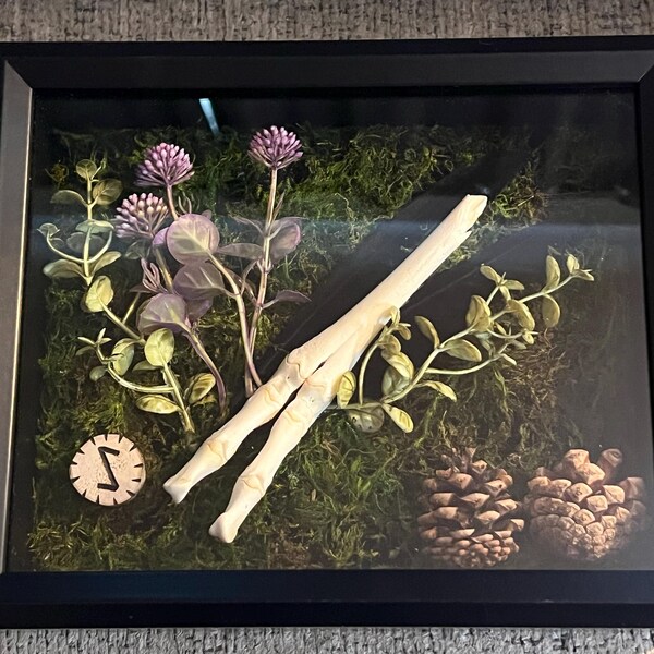 Mummified Scorpion - Shadow Box - Etsy