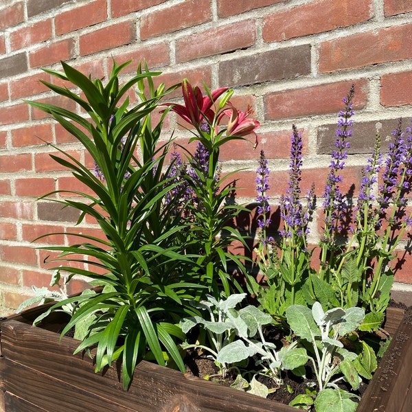 Outdoor Wooden L-shaped Corner Planter Box 64x16inches Garden Planter ...