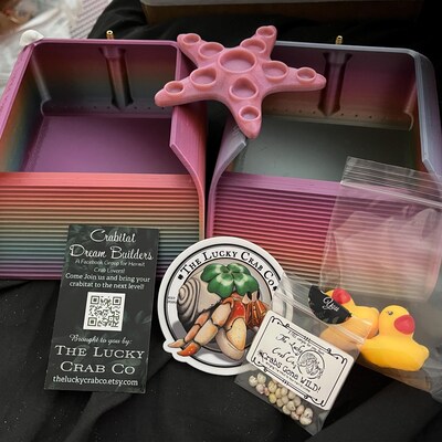 Hermit Crab Foraging Dish Hanging Shell Dish Hermit Crab Enrichment - Etsy