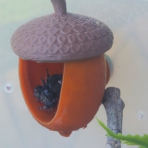 3D Printed Magnetic Acorn Spider Hide Upgraded Sling Acorn Magnets - Etsy