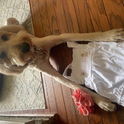 Goldendoodle Outfit, Monogram Goldendoodle Outfit, Baby Goldendoodle ...