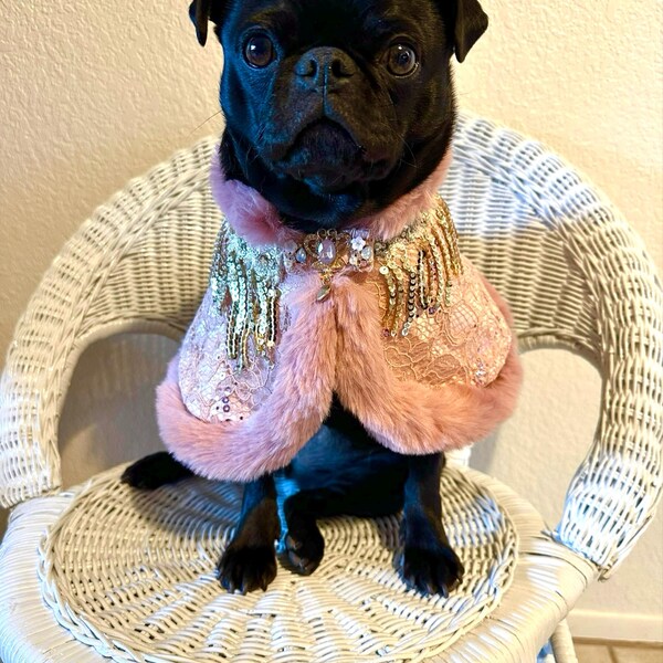 Keiko's MERMAID WHIMSICAL Cape - Cat Costume, Dog Outfit, Gatsby Cape ...