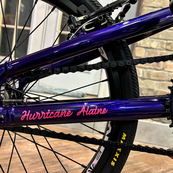 Custom Bike Frame Decals: Personalized Vinyl Stickers (set of 2) - Etsy