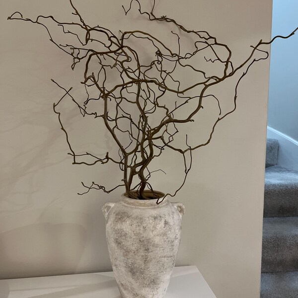 Long Twisted Hazel Branches, Corylus Twigs for Vase, Japandi Branches ...