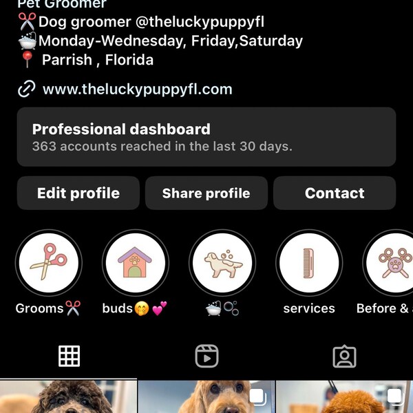 100 CUTE CAT Instagram Story Highlight Covers, Cats Icons, Pastel Cat ...