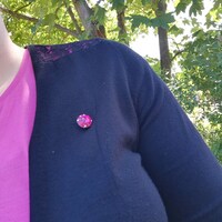 Schmuck Magnet mit original Swarovski-Rivoli Brillant Vergoldeter Rück ...