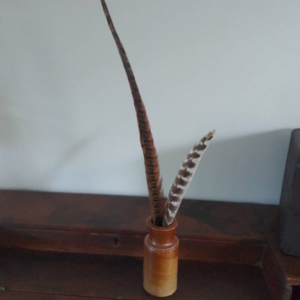 Wild Feather Quill - Etsy