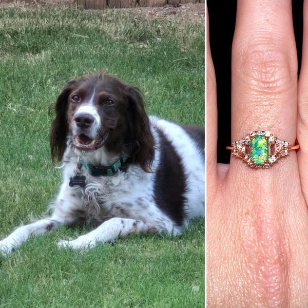 Ashes Ring, Cremation Ring, Pet Ashes, Pet Cremation Ring, Pet Memorial ...