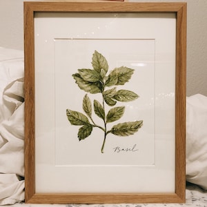 Basil Print Watercolor Basil Painting, Herb Print, Basil Print ...