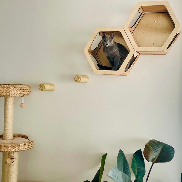 Cat Wall Mount Furniture, Cat Wall Bed, Wooden Cat Hexagon Shelves ...