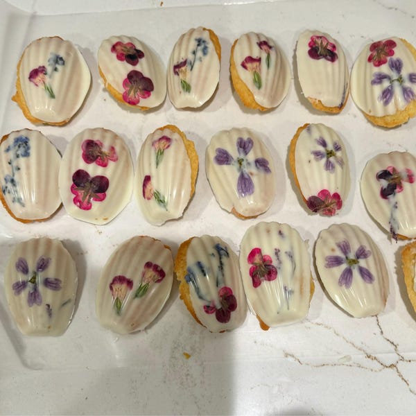 White Ruscus Branches, Premium Bleached Italian Ruscus, Dried DIY ...